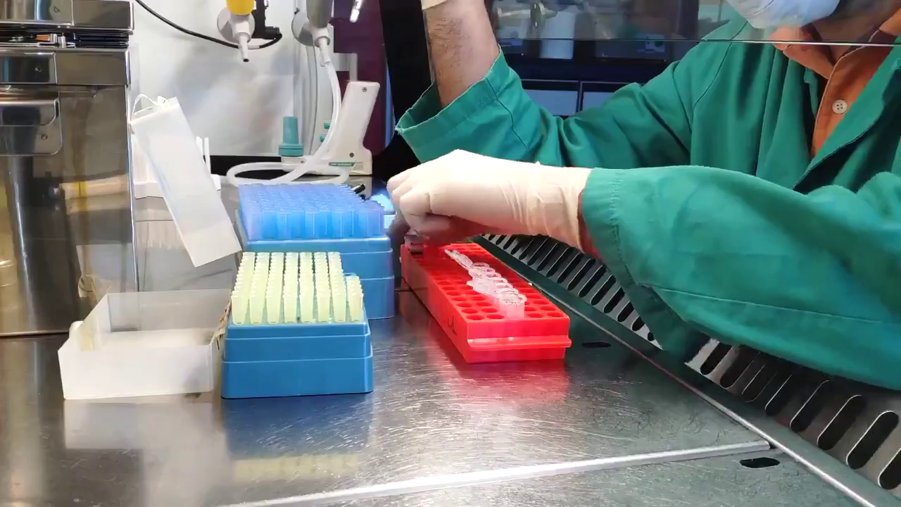 Un test serológico distingue anticuerpos por vacuna o infección