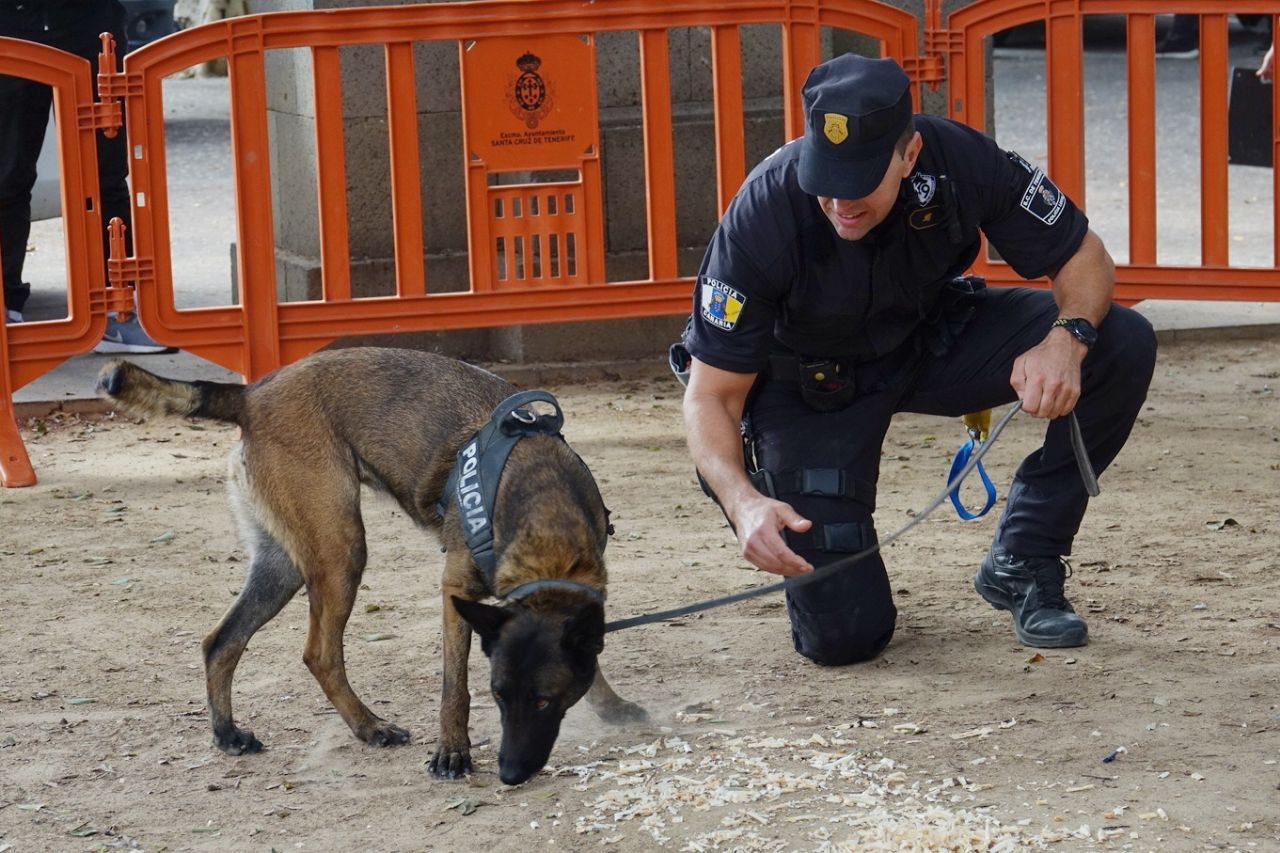 Se forman a los perros guías de la policía local